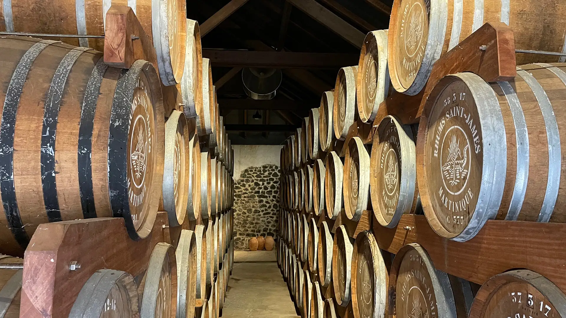Mini route du rhum en Martinique entre nature et distilleries